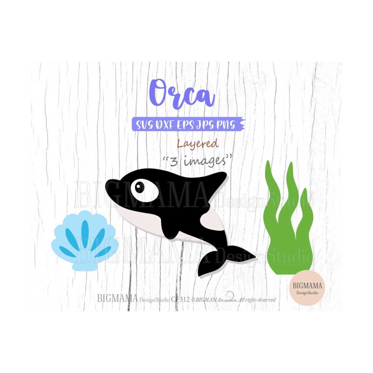 Cute Orca SVG,Killer Whale,Sea,DXF,Sea Animal,Birthday,Cricu - Inspire ...