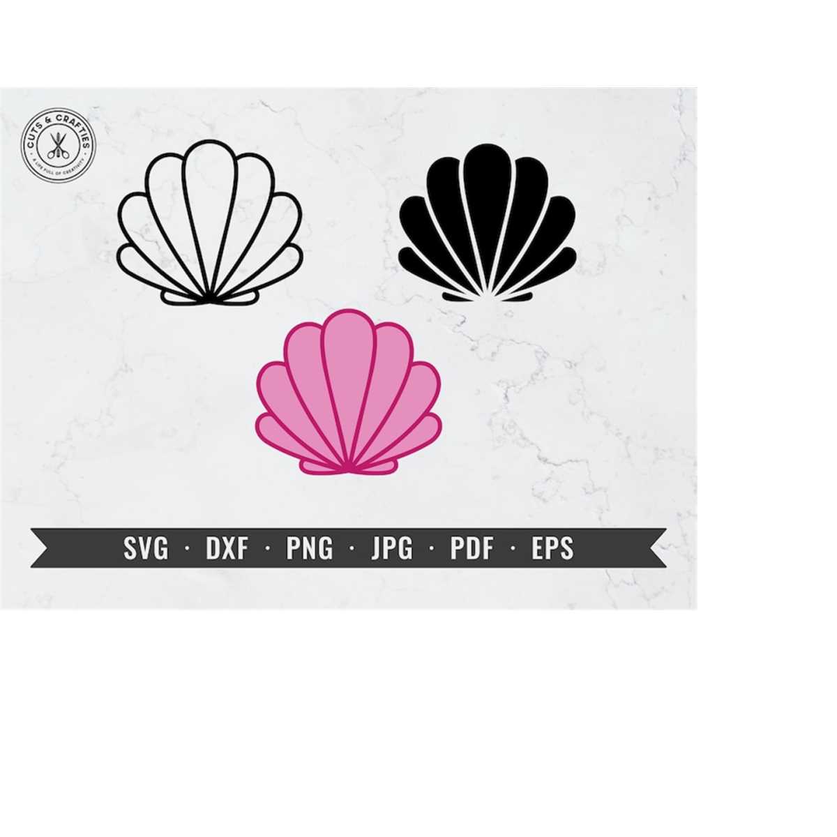 Seashell svg, Sea Shell svg, Beach svg, Ocean svg, dxf, png, - Inspire ...