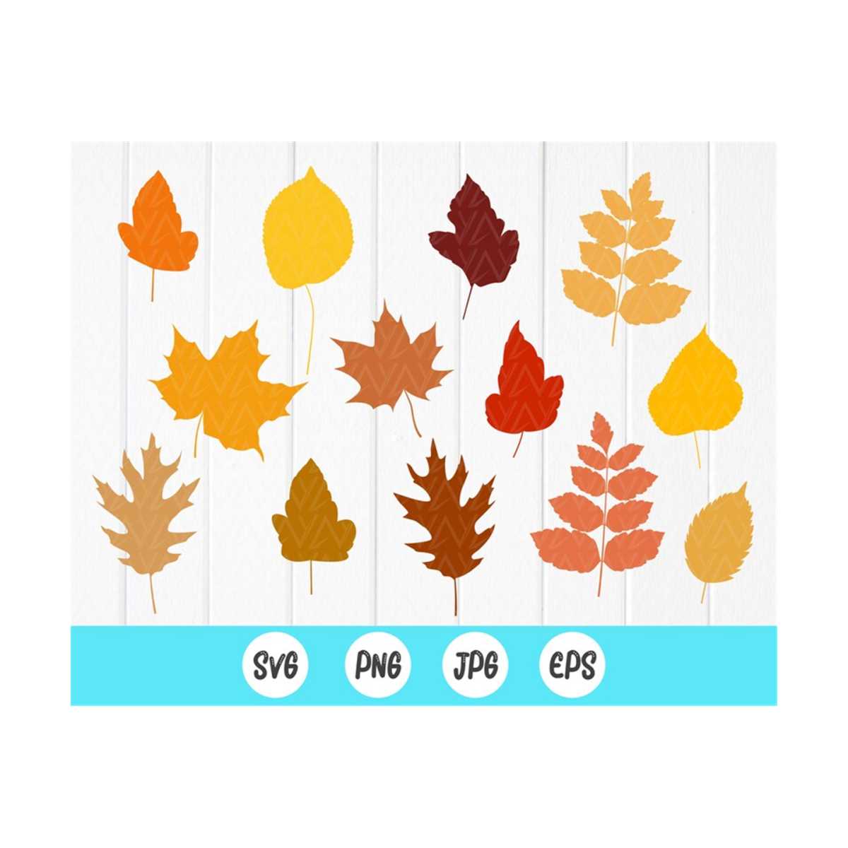 Fall Leaf SVG Bundle,Autumn Leaves SVG,Maple Leaf SVG, Digit | Inspire ...