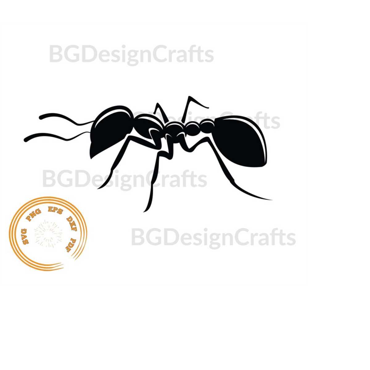 Any SVG, Ant Png, Ant cut file, svg file for cricut, eps, si - Inspire Uplift