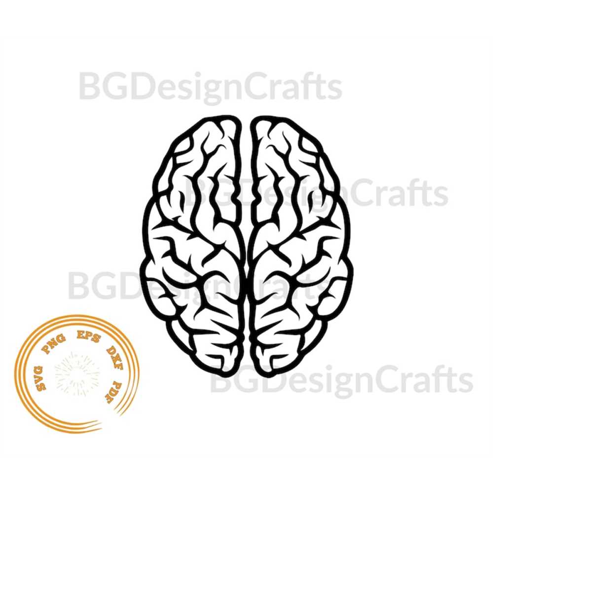 Brain SVG, Brain DXF, Brain clipart, Png, svg cut file | Inspire Uplift