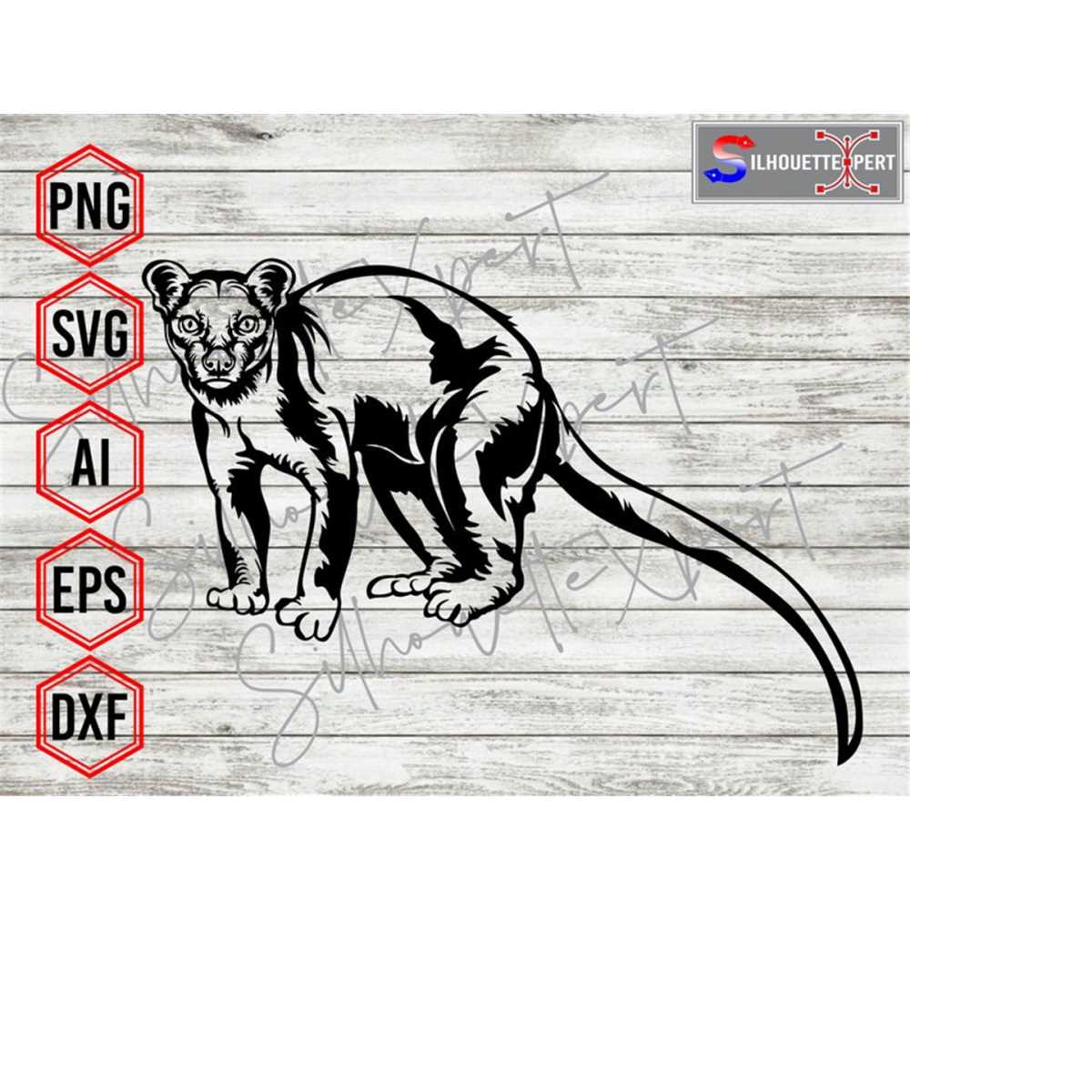 Standing Fossa svg, Fossa Head svg, Animal svg, Wildlife svg - Inspire ...