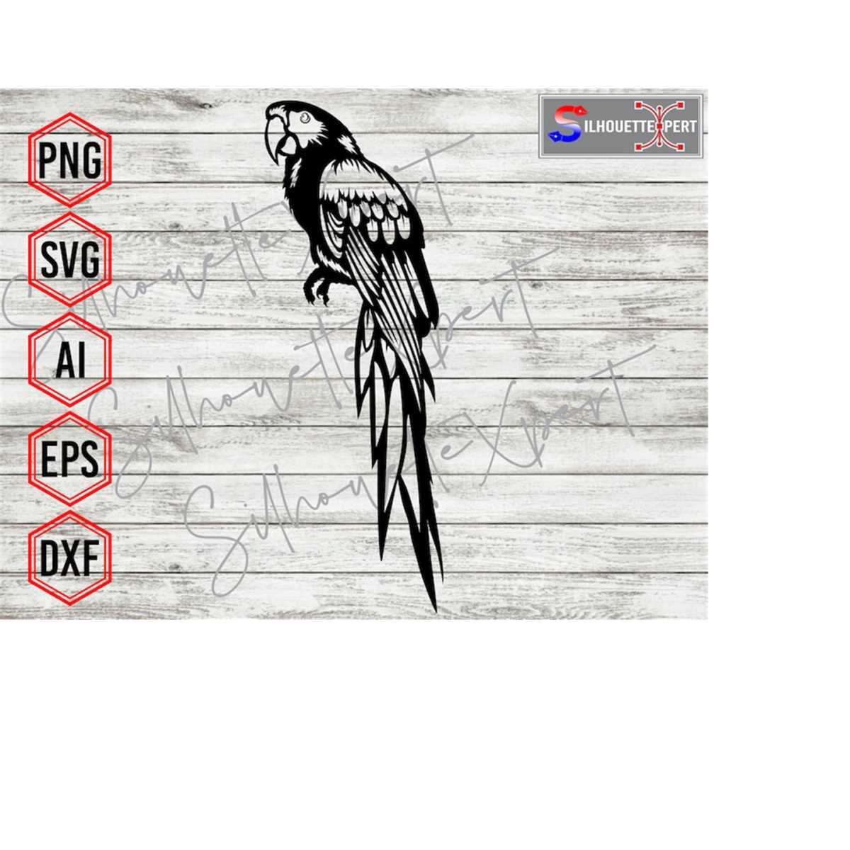 Adorable Parrot svg, Bird Portrait svg, Pet svg, Macaw svg - | Inspire ...