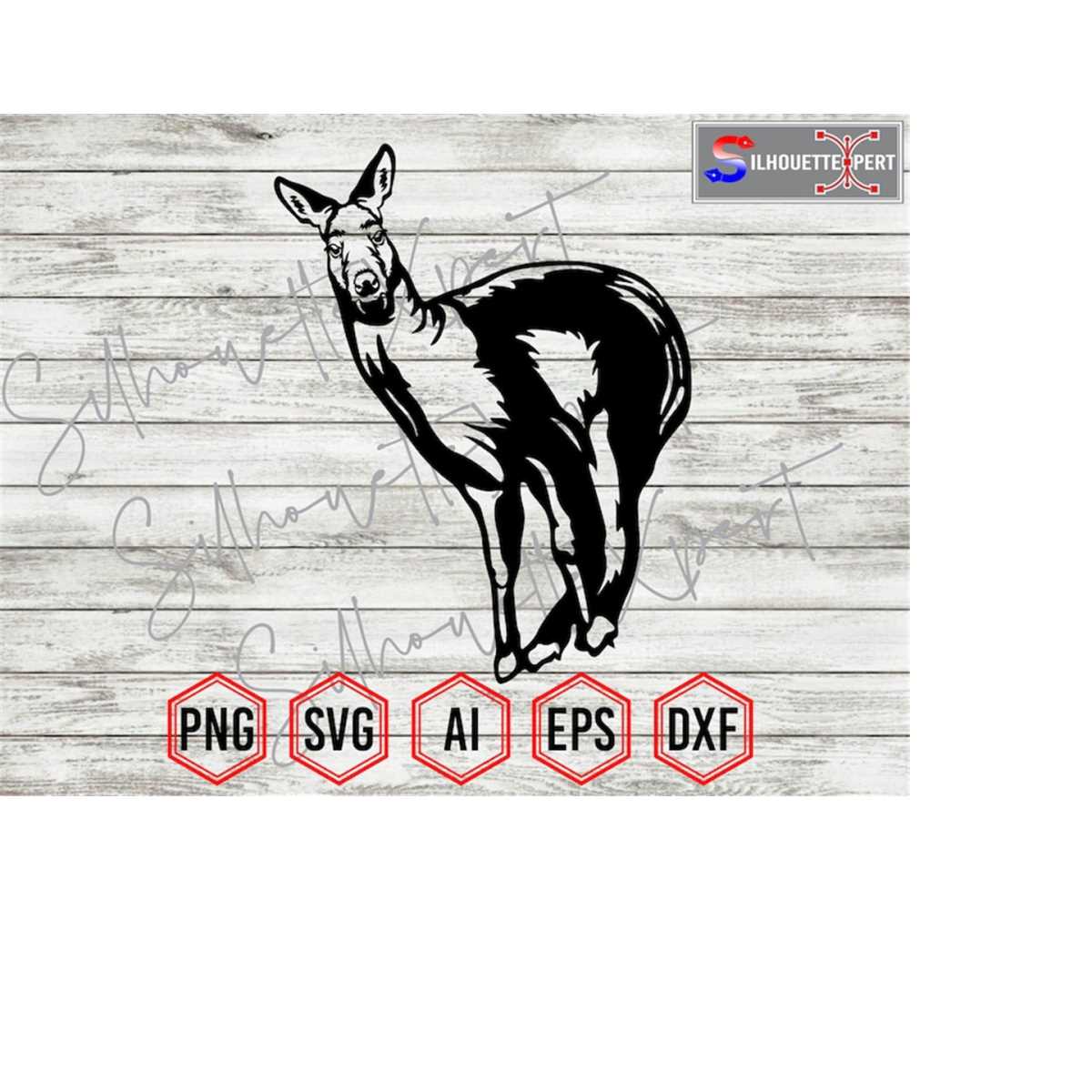 Musk Deer svg, Deer svg, Indian Musk Deer svg, Himalayan Mus - Inspire ...