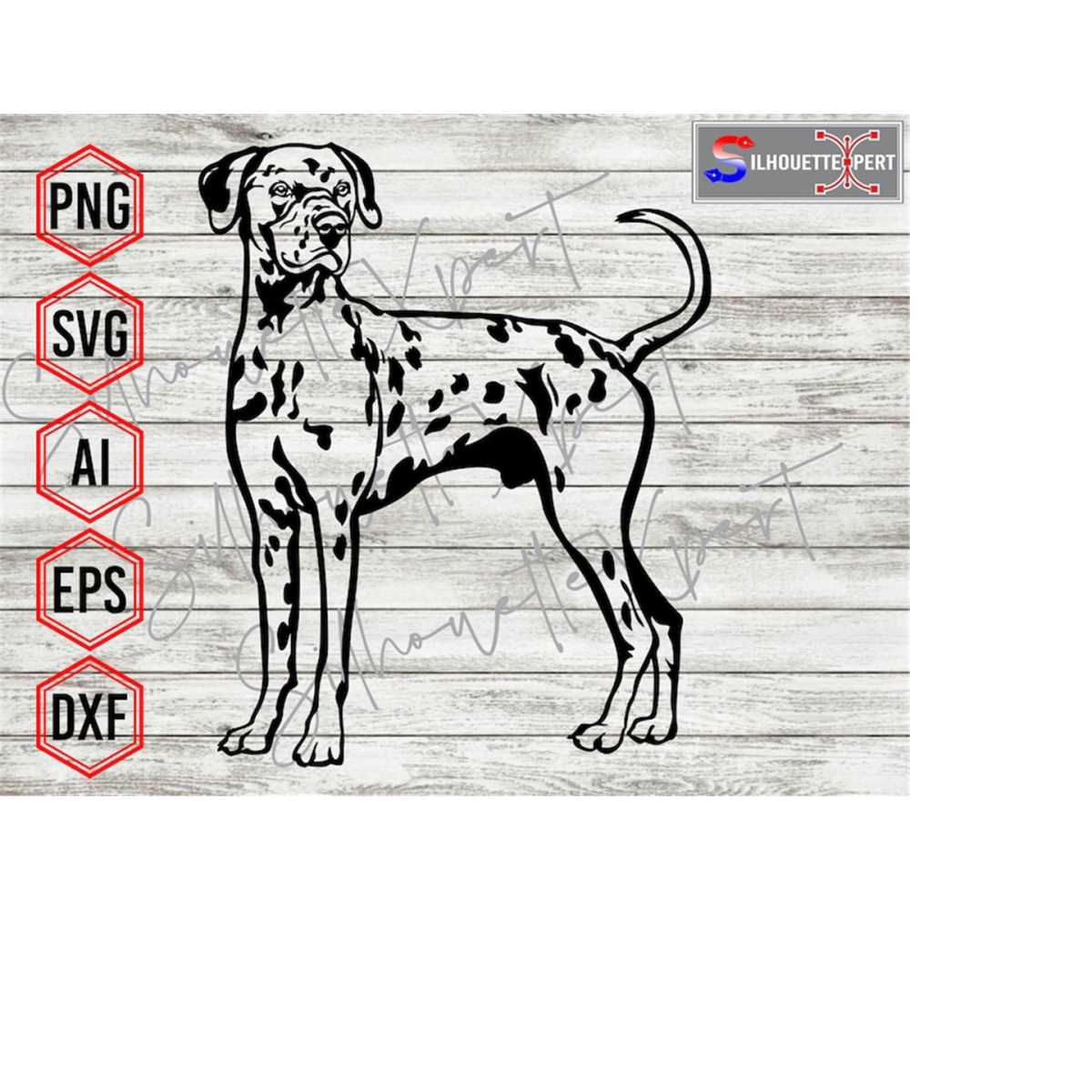 Standing Dalmatian Dog svg, Staring Dalmatian svg, Pet svg, - Inspire ...