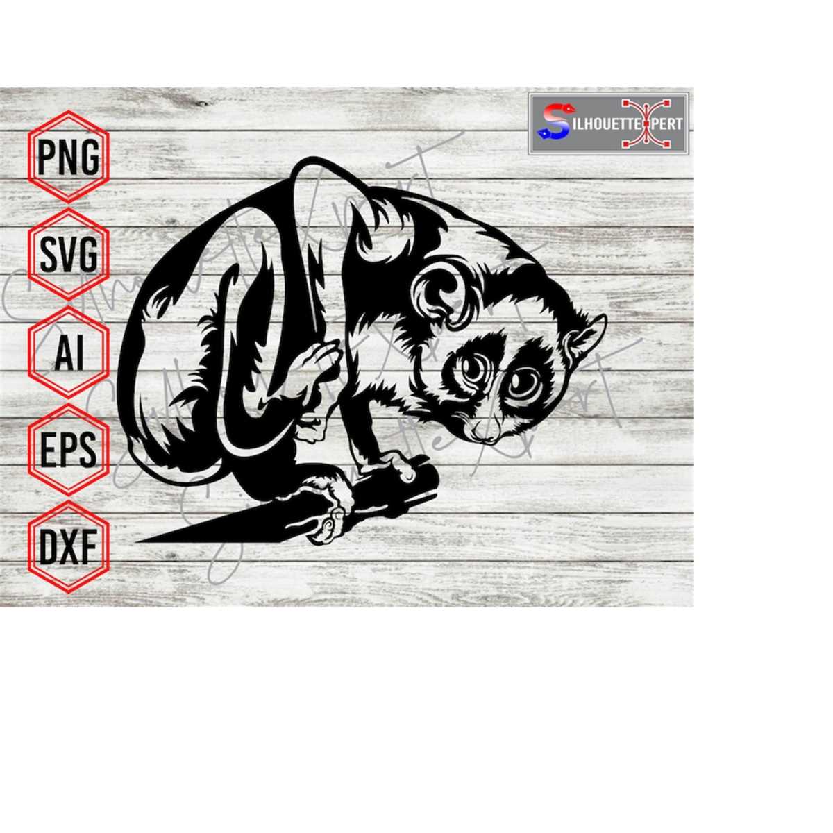 Playing Slow Loris svg, Peeking Loris svg, Animal svg, Wildl - Inspire ...