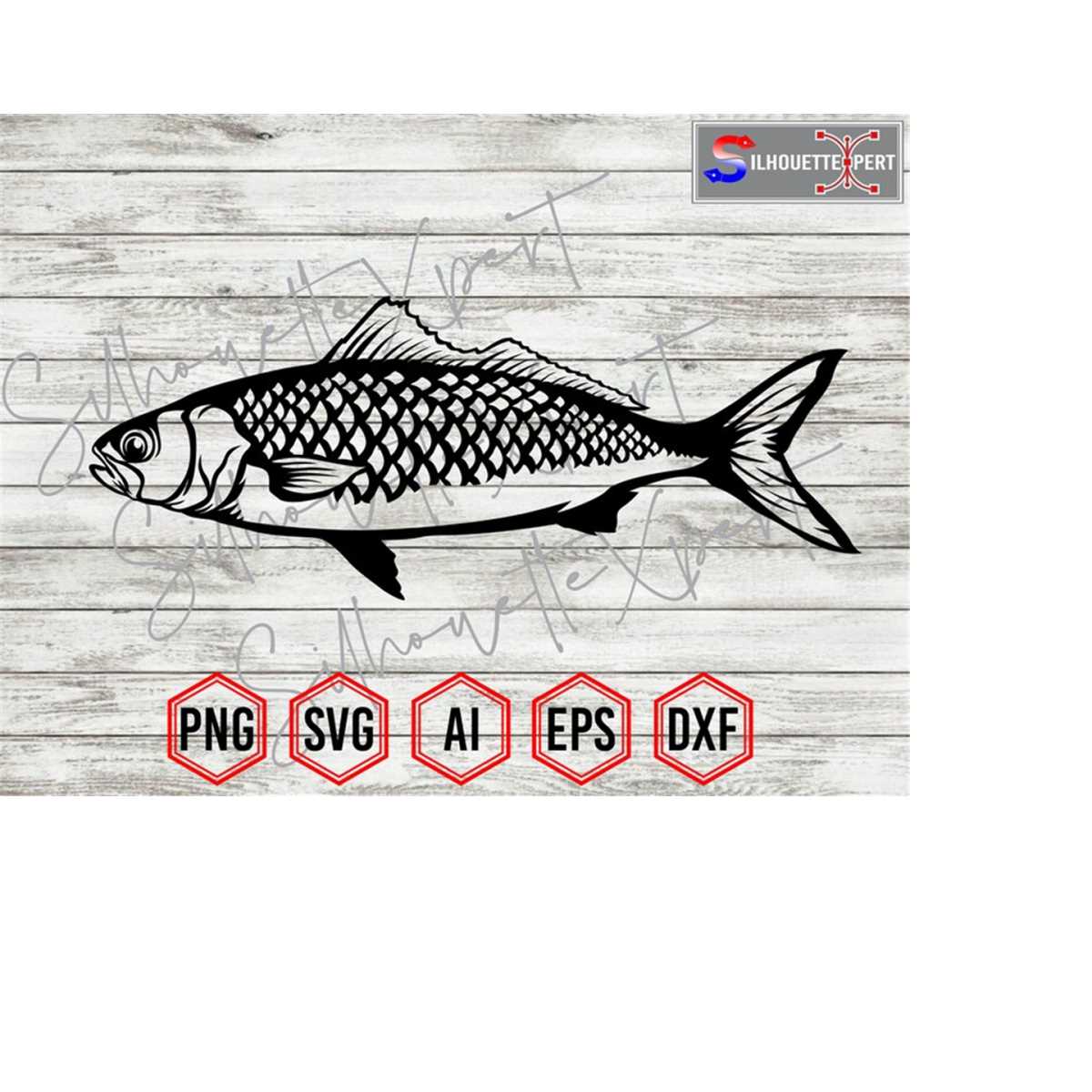 Salmon svg, Autralian Salmon svg, Fishing svg - Clipart, Sil - Inspire ...