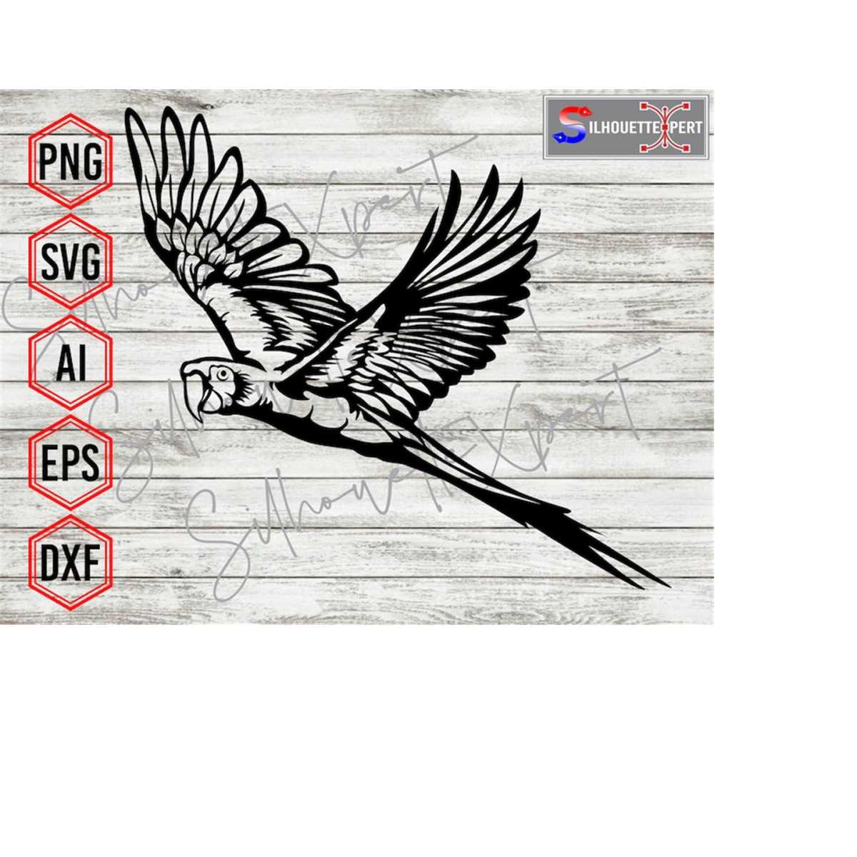 Adorable Parrot svg, Flying Parrot svg, Pet svg, Macaw svg - - Inspire ...