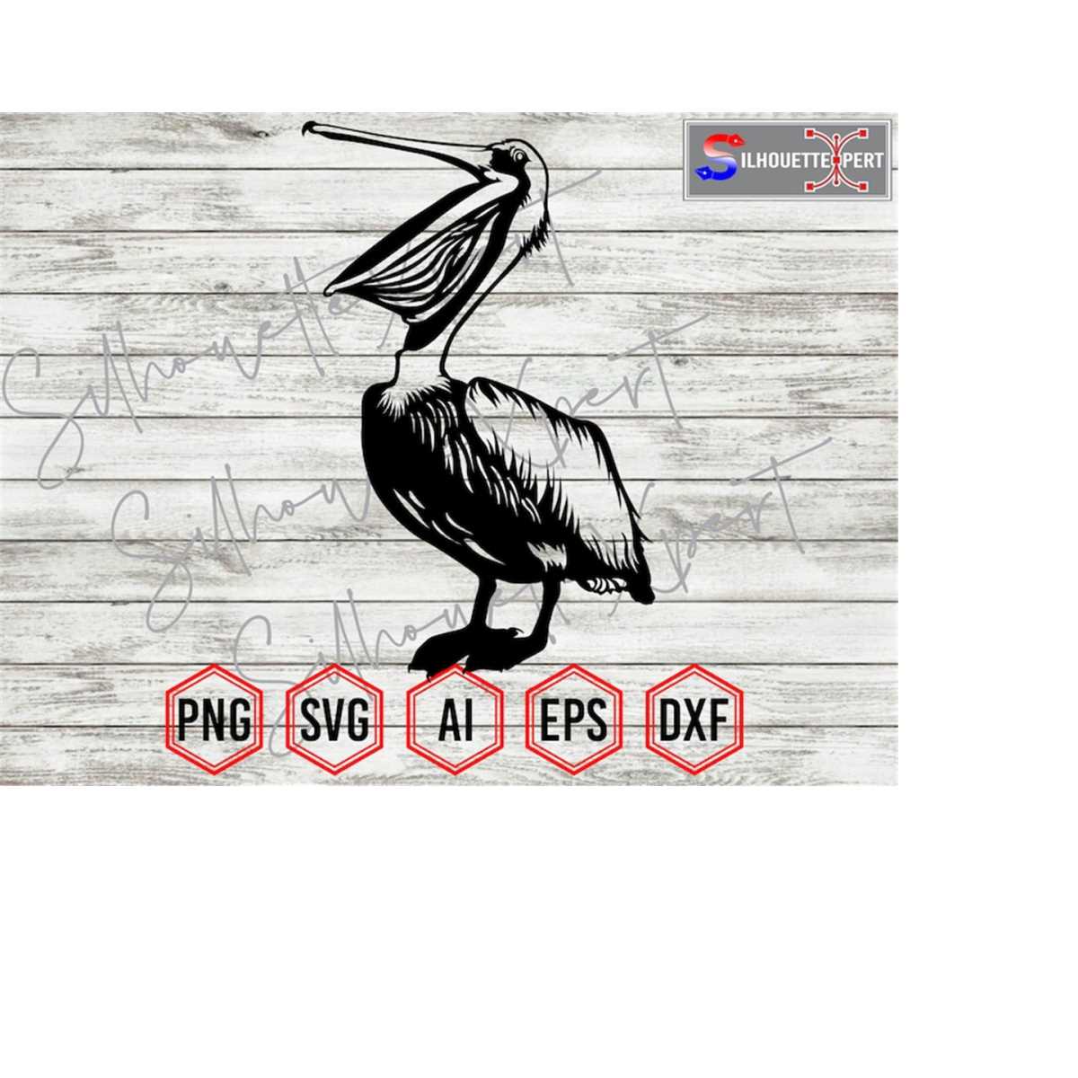 Adorable Pelican svg, Pelican svg, Pelican Silhouette - Clip | Inspire ...