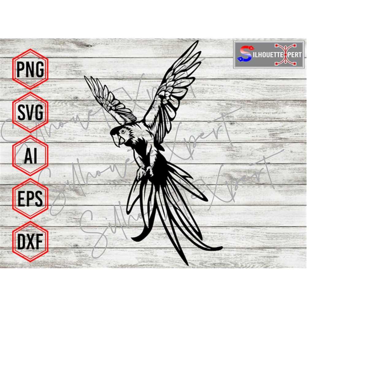 Parrot svg, Flying Parrot svg, Bird Portrait svg, Pet svg - - Inspire ...