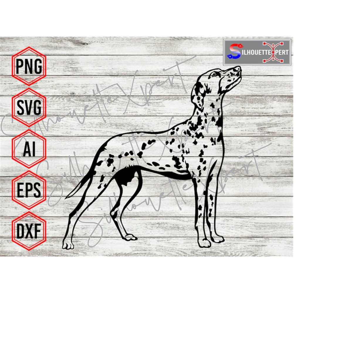 Dalmatian Dog svg, Standing Dalmatian svg, Pet svg, Puppies - Inspire ...