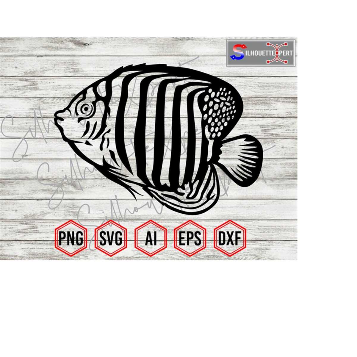 Angel Fish svg, Aquarium Fish svg, Fish svg, Koi svg - Clipa | Inspire ...