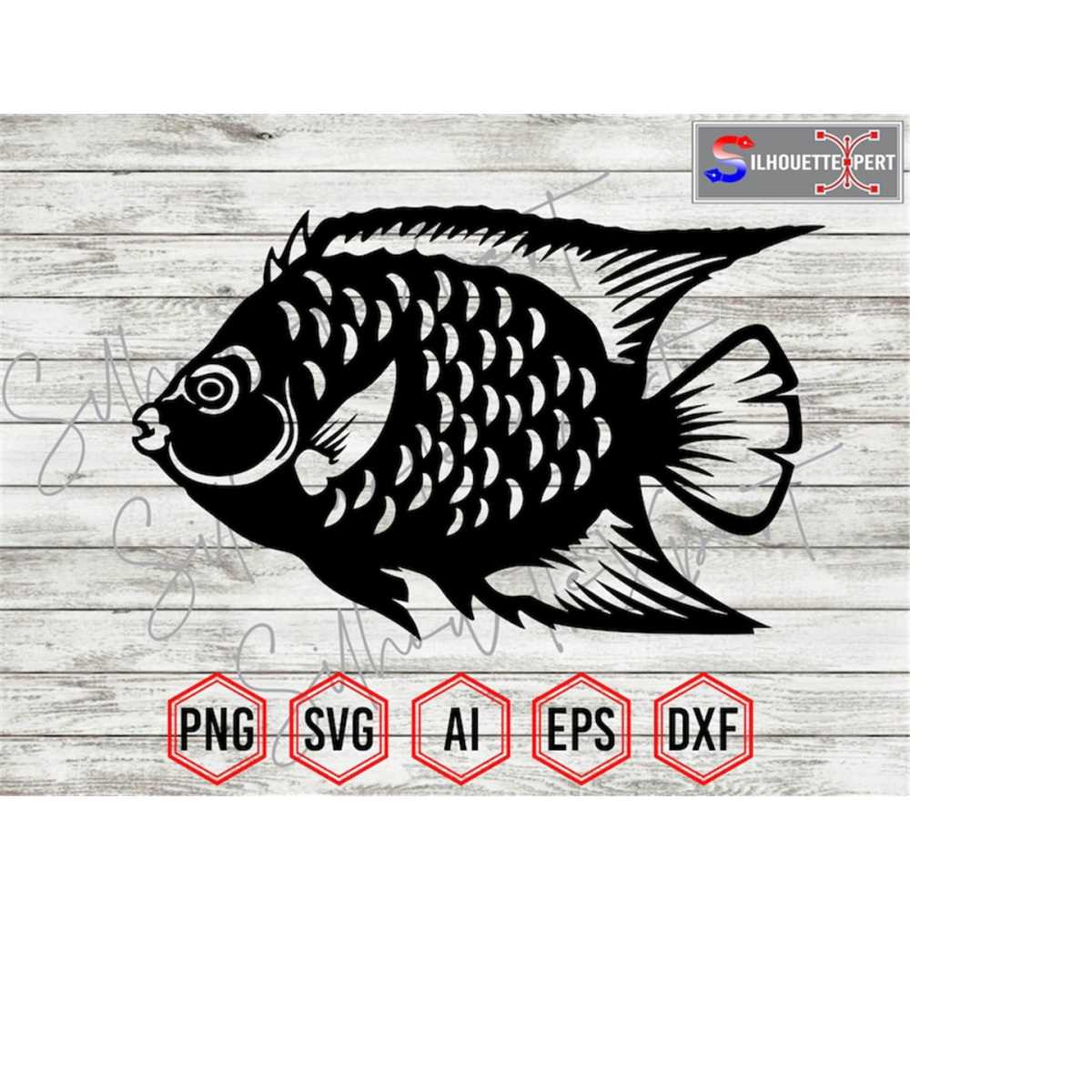 Queen Angel Fish Silhouette, Aquarium Fish svg, Fish svg, Ko - Inspire ...