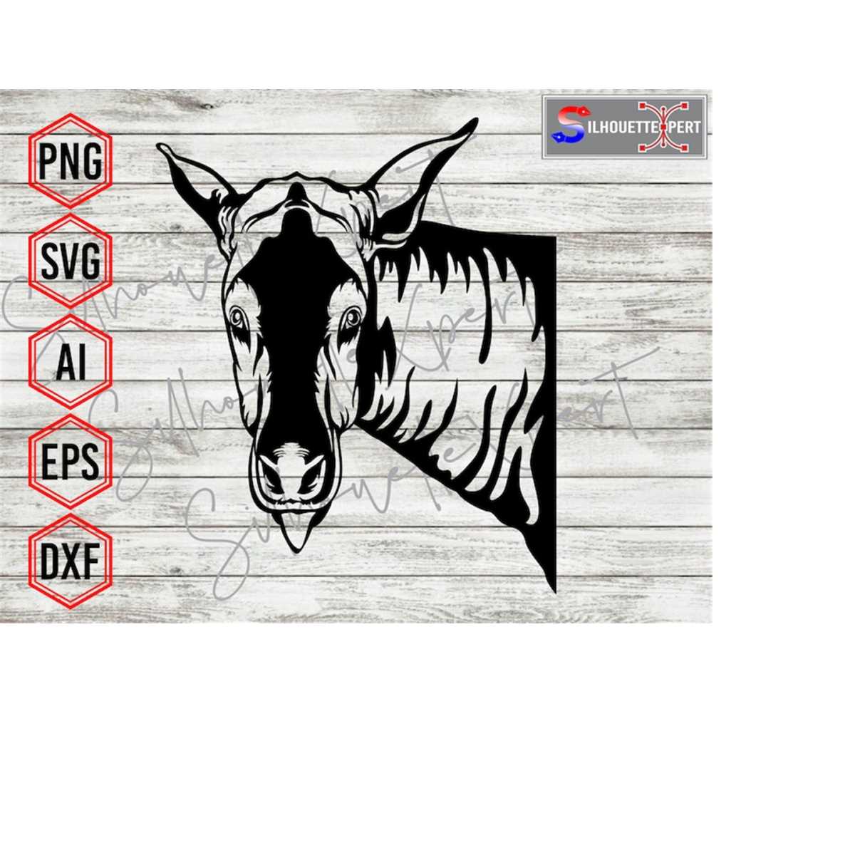 Okapi svg, Okapi Head svg, Okapi Face svg, Animal svg - Clip - Inspire ...