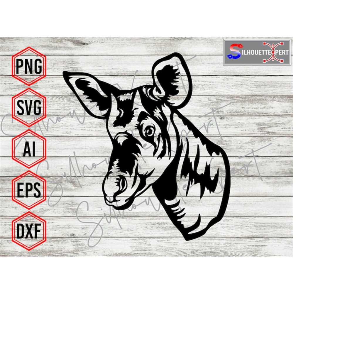Okapi svg, Okapi Head svg, Animal svg - Clipart, Cricut, CNC - Inspire ...