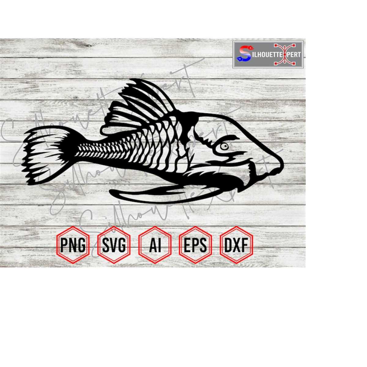 Panaque Pleco svg, Giant Pleco svg, Pleco svg, Aquarium Fish - Inspire ...