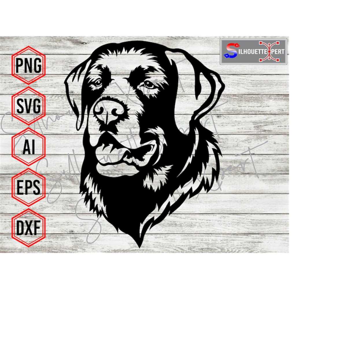 Labrador Dog svg, Labrador svg, Animal svg, Dog svg, Pet svg - Inspire ...