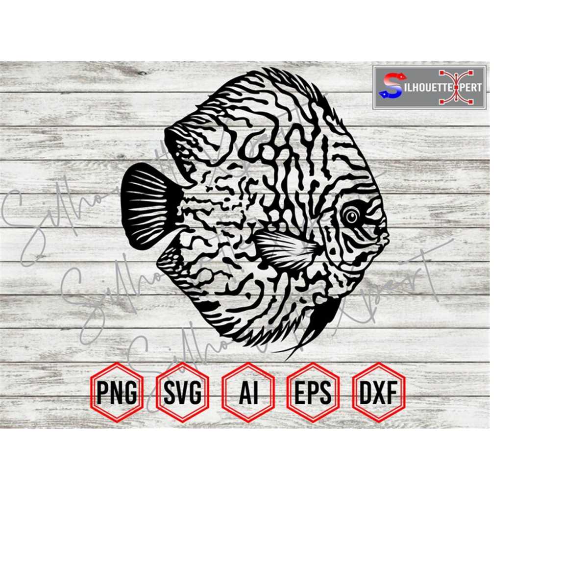 Discus Fish Silhouette, Discus svg, Aquarium Fish svg - Clip - Inspire ...