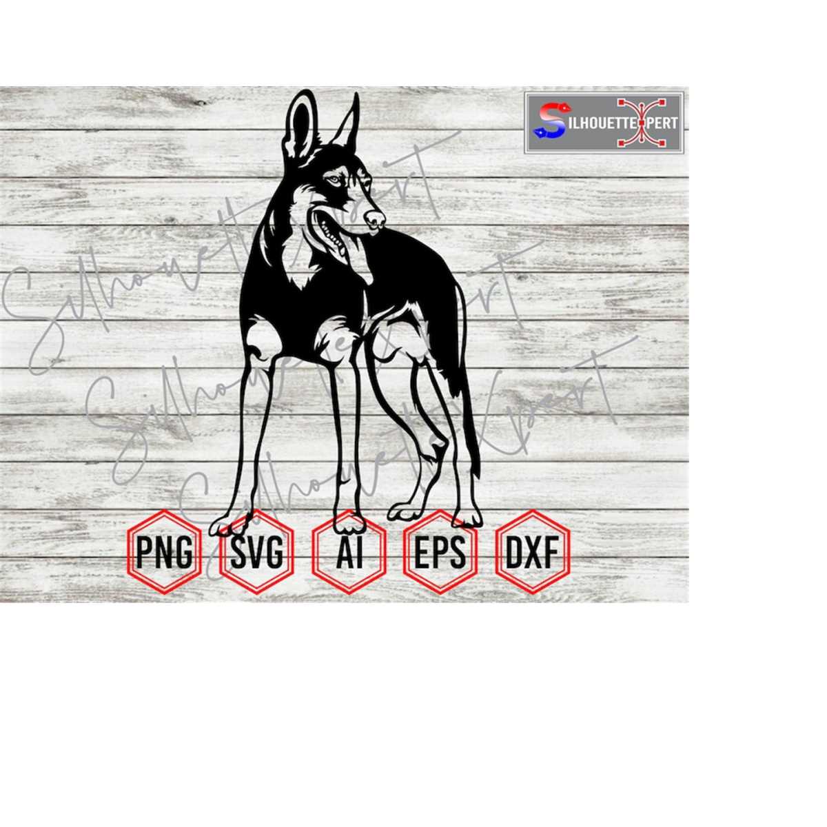 Standing Belgian Malinois Silhouette 8, Belgian Malinois svg - Inspire ...