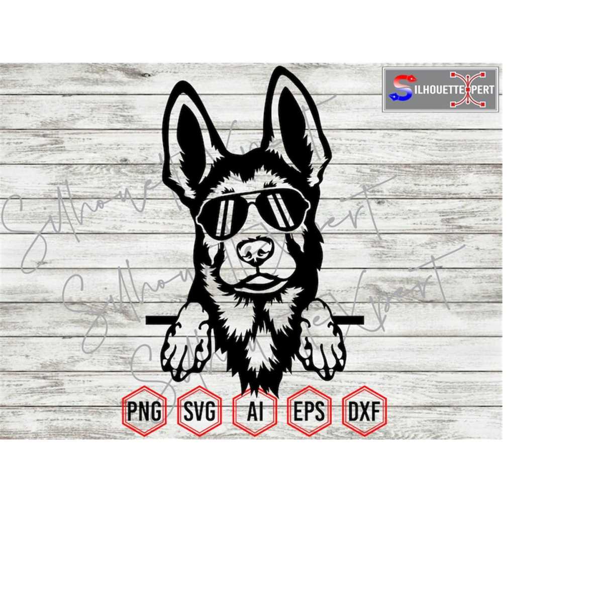 Cool Peeking Belgian Malinois svg, Belgian Malinois svg, Bel - Inspire ...