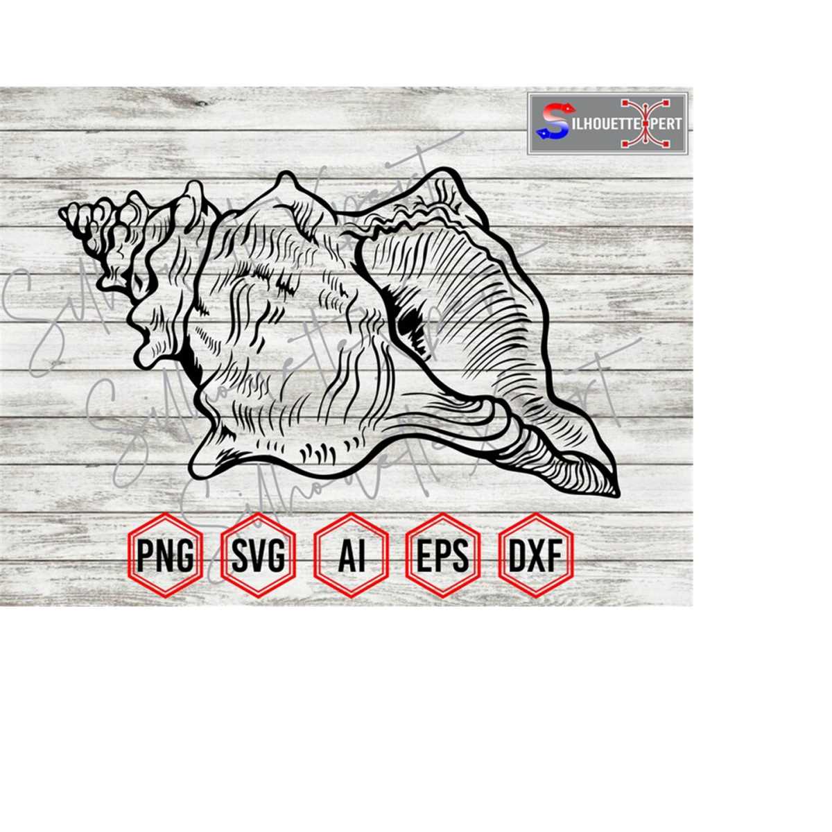 Seashell Silhouette 1, Seashell svg, Sea Shell svg, Beach sv - Inspire ...