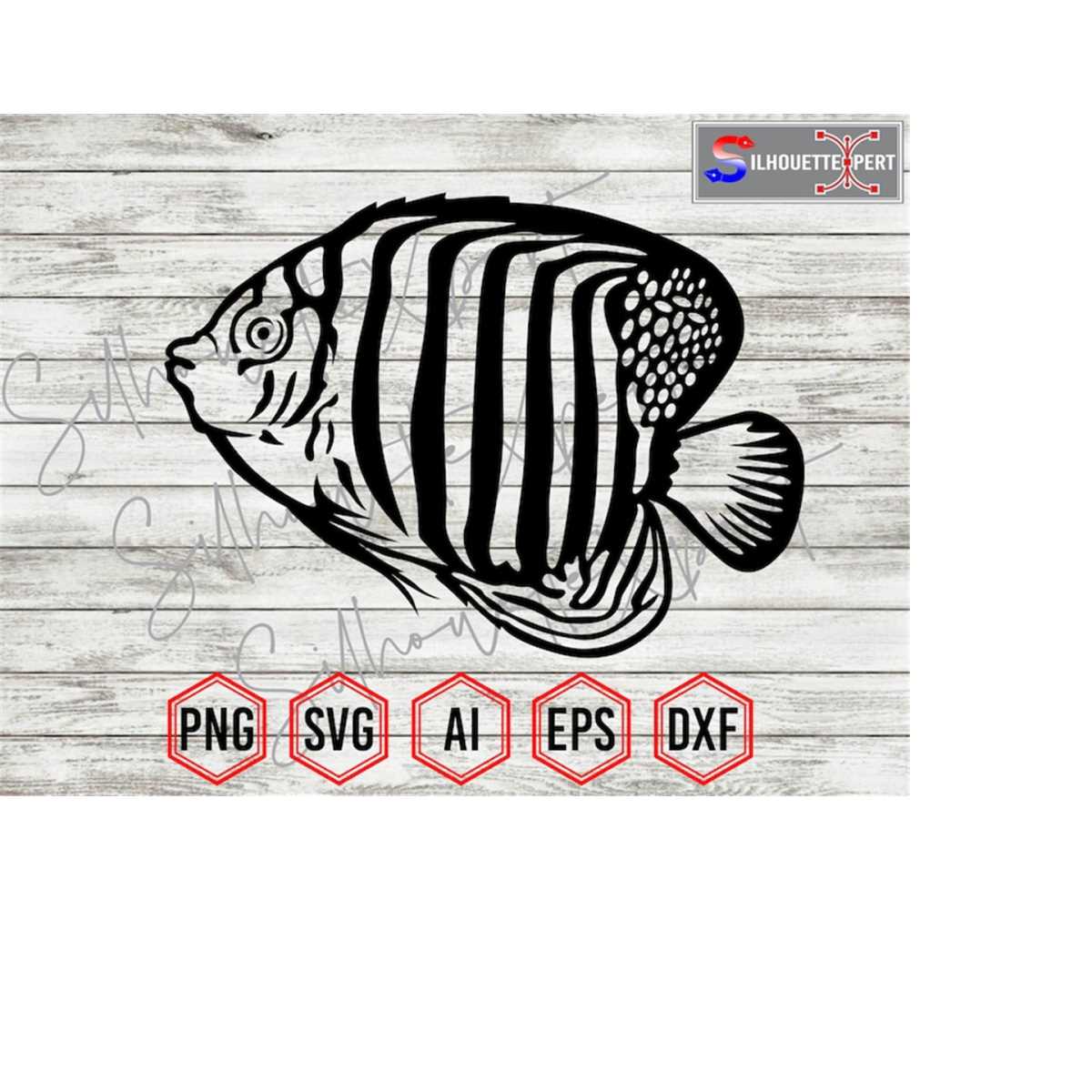 Angel Fish svg, Aquarium Fish svg, Fish svg, Koi svg - Clipa - Inspire ...