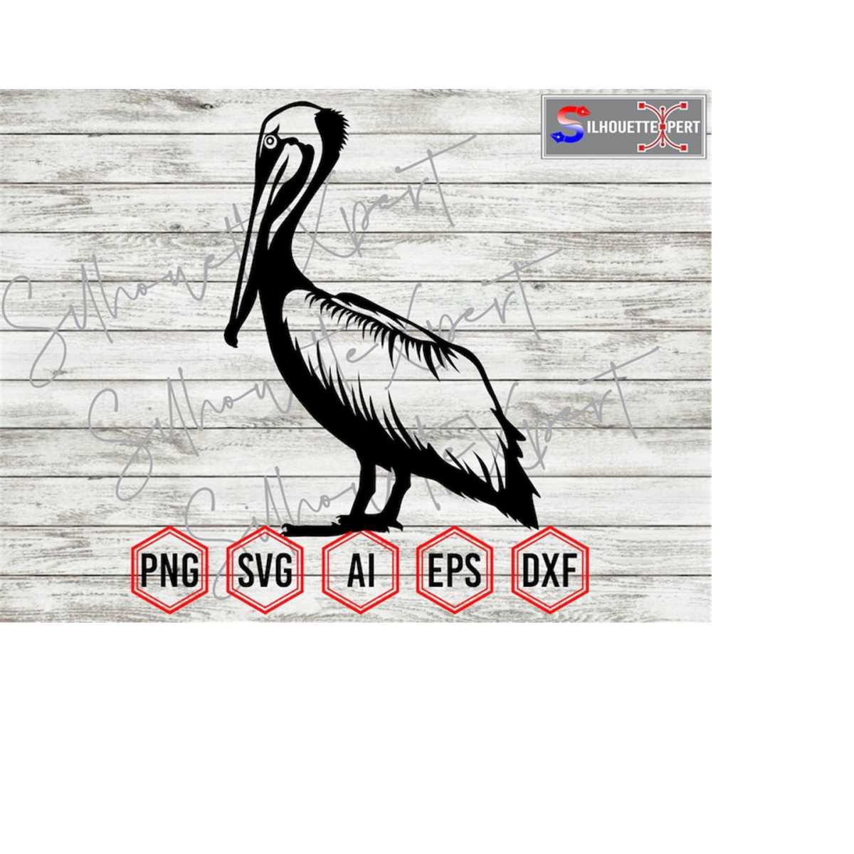 Standing Pelican svg, Pelican svg, Silhouette 2 - Clipart, V - Inspire ...