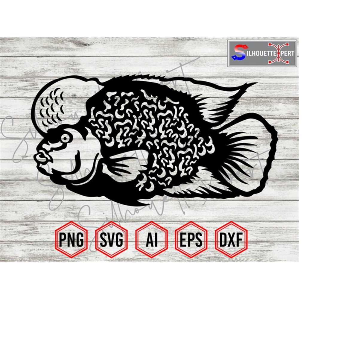 Flower Horn 2, Koi Fish svg, Aquarium Fish svg - Clipart, Si | Inspire ...
