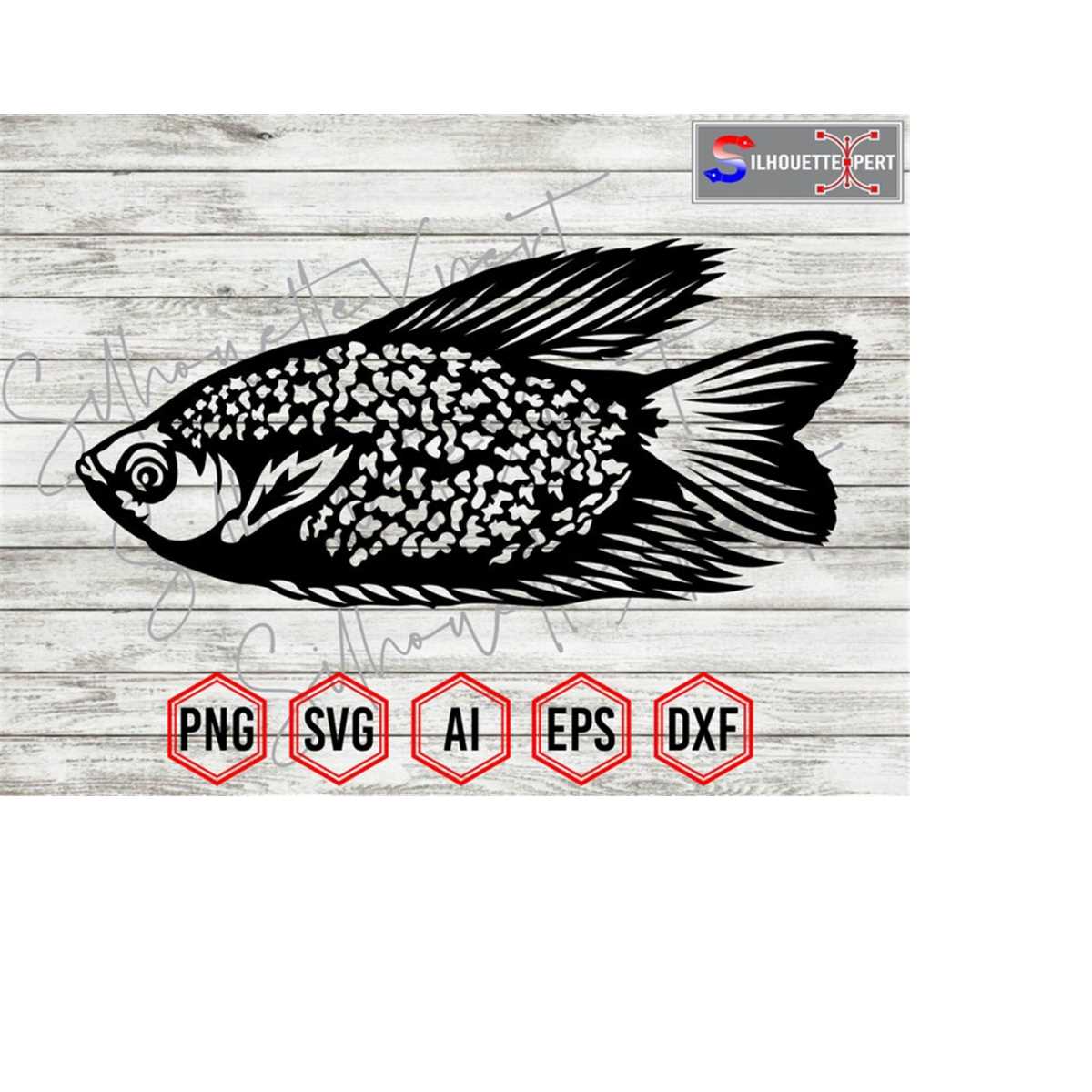 Pearl Gourami svg, Aquarium Fish svg, Gourami Fish svg - Cli - Inspire ...