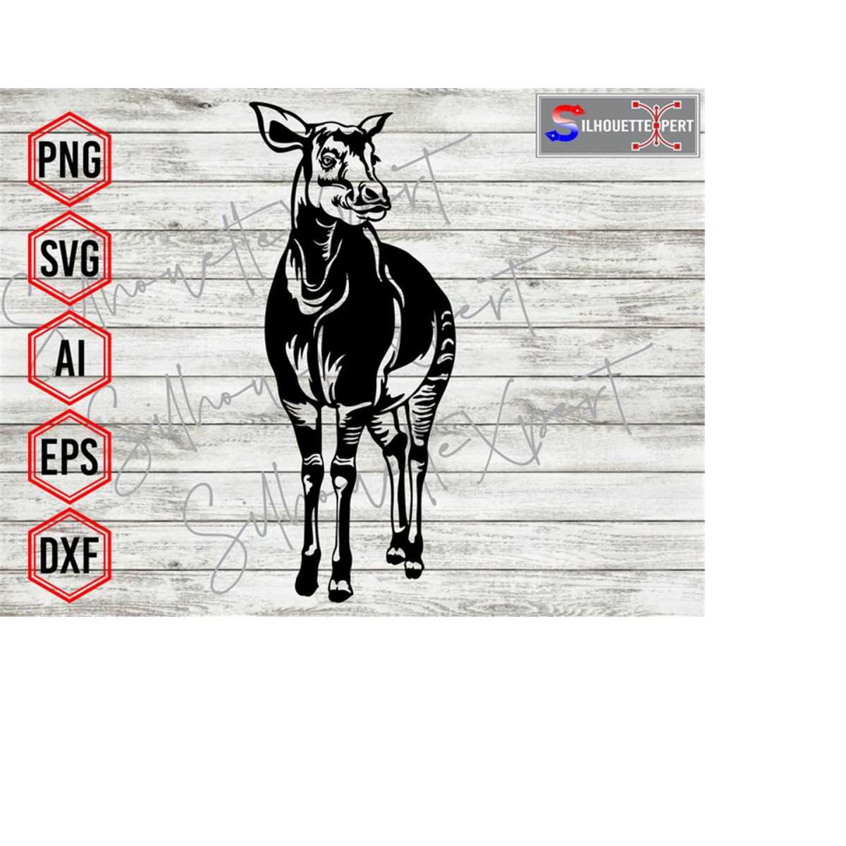 Front view Standing Okapi svg, Okapi svg, Horse svg, Animal - Inspire ...