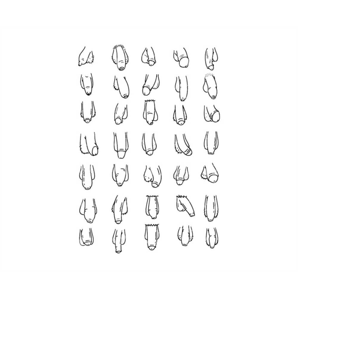 Doodle Penis Svg Bundle, Hand Drawn Penis Svg, Dicl, Cock, E - Inspire ...