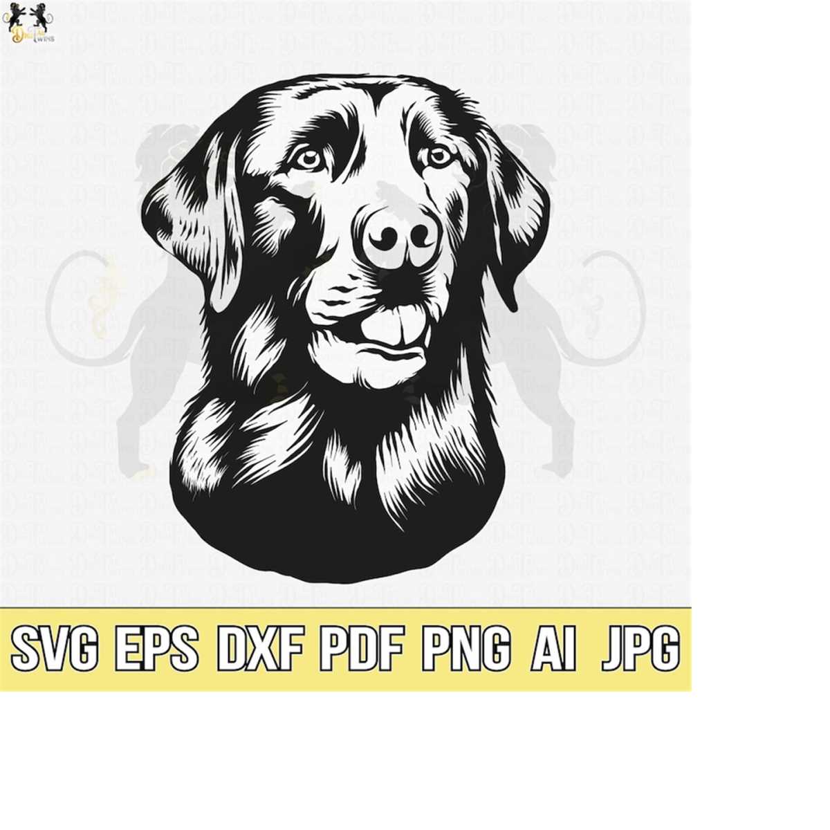 Labrador Svg, Labrador Retriever Svg, Labrador Clipart, Labr | Inspire ...