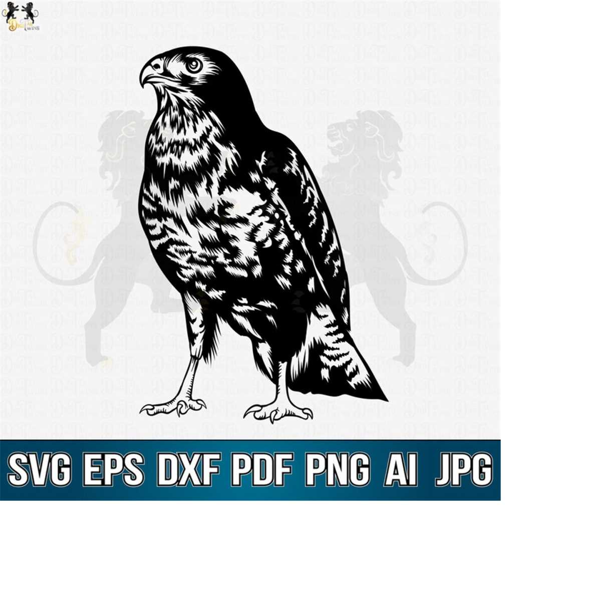 Falcon Svg, Hawk Svg, Falcon Clipart, Falcon Vector, Falcon | Inspire ...