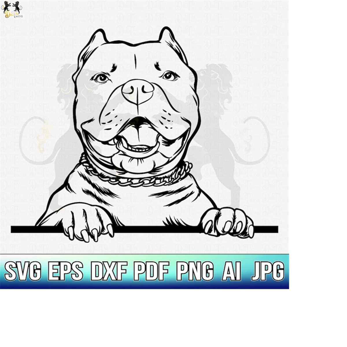 Pitbull Svg, American Pit Bull Svg, Pitbull Clipart, Pitbull | Inspire ...