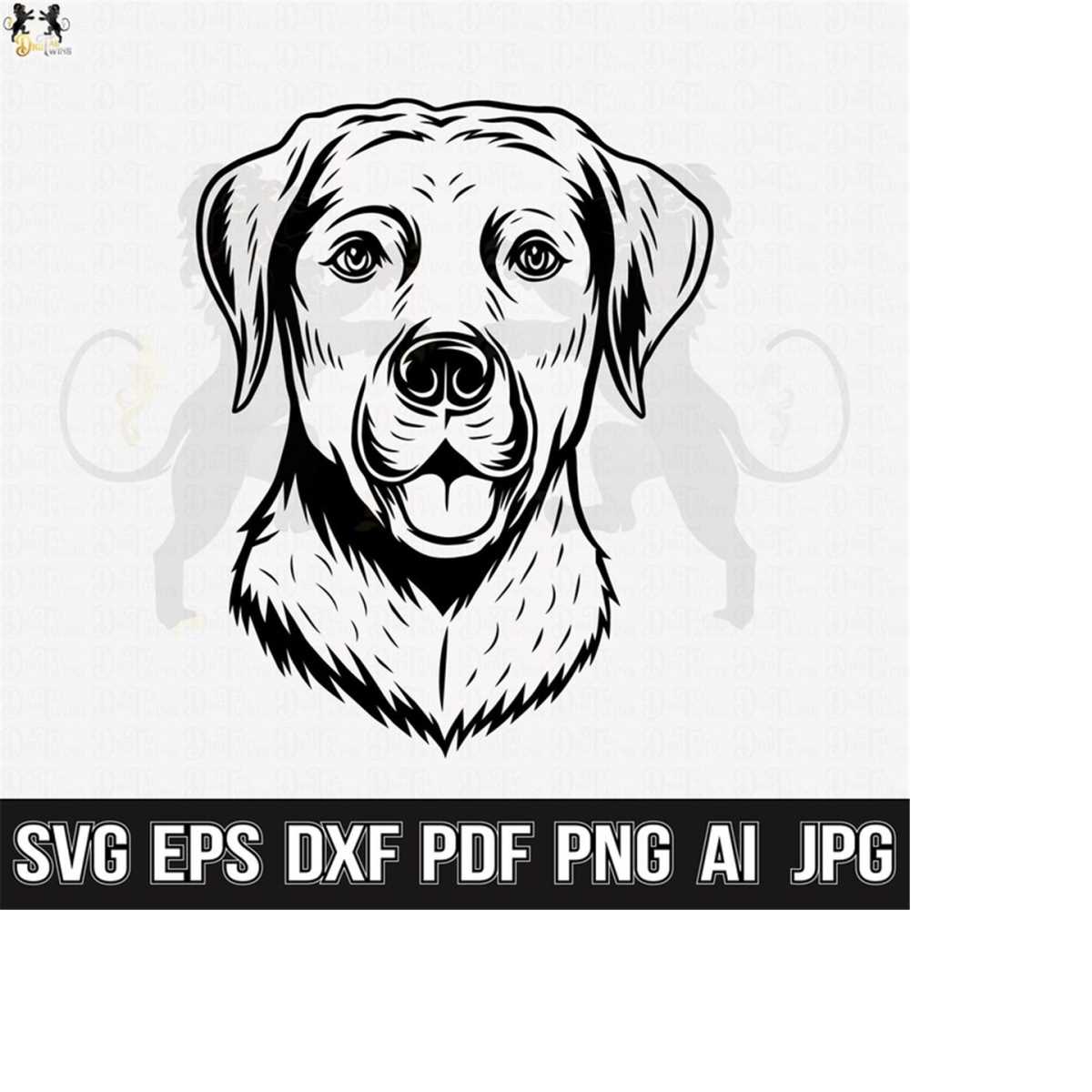Labrador Svg, Labrador Retriever Svg, Labrador Clipart, Labr | Inspire ...