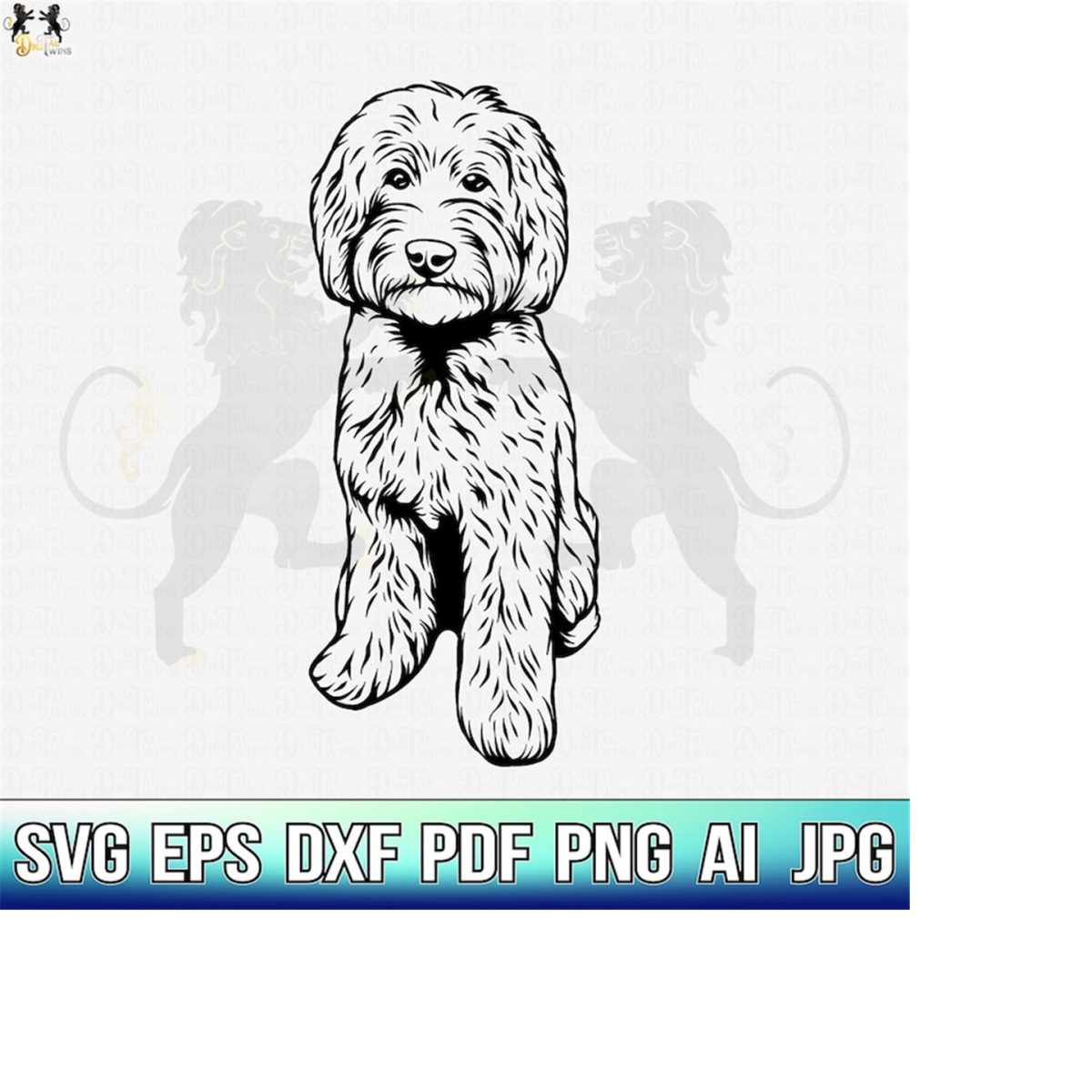 Labradoodle Svg, Labradoodle Clipart, Labradoodle Cricut, La | Inspire ...