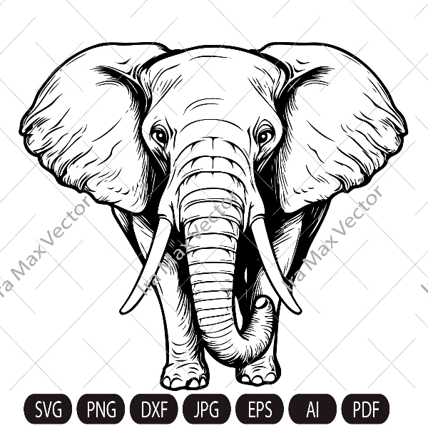 Elephant Svg, Elephant Clipart, Elephant Png, Elephant Head, | Inspire ...
