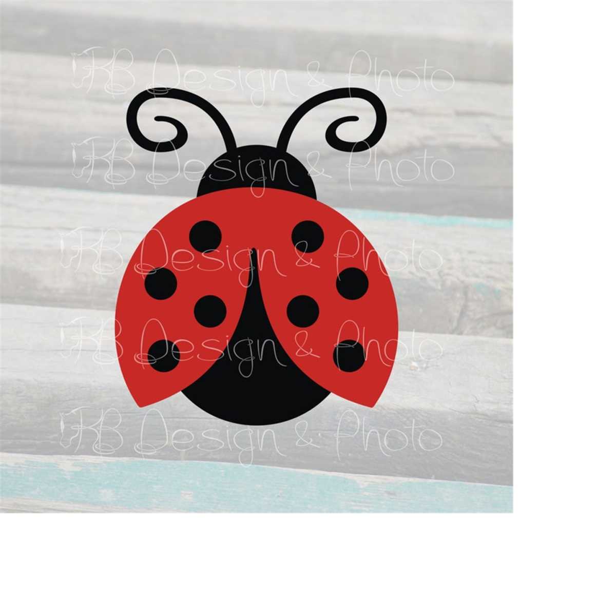 Ladybug Vector/Raster- SVG, PNG, JPG - Inspire Uplift