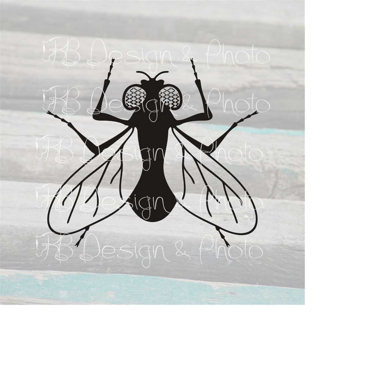 Fly Vector/Raster- SVG, PNG, JPG | Inspire Uplift