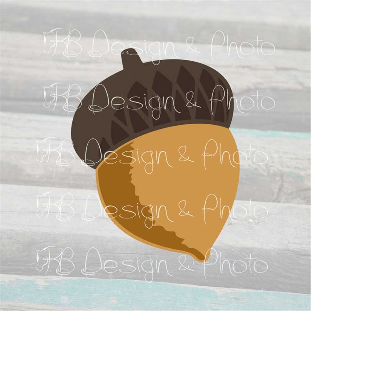 Acorn Vector/Raster- SVG, PNG, JPG - Inspire Uplift