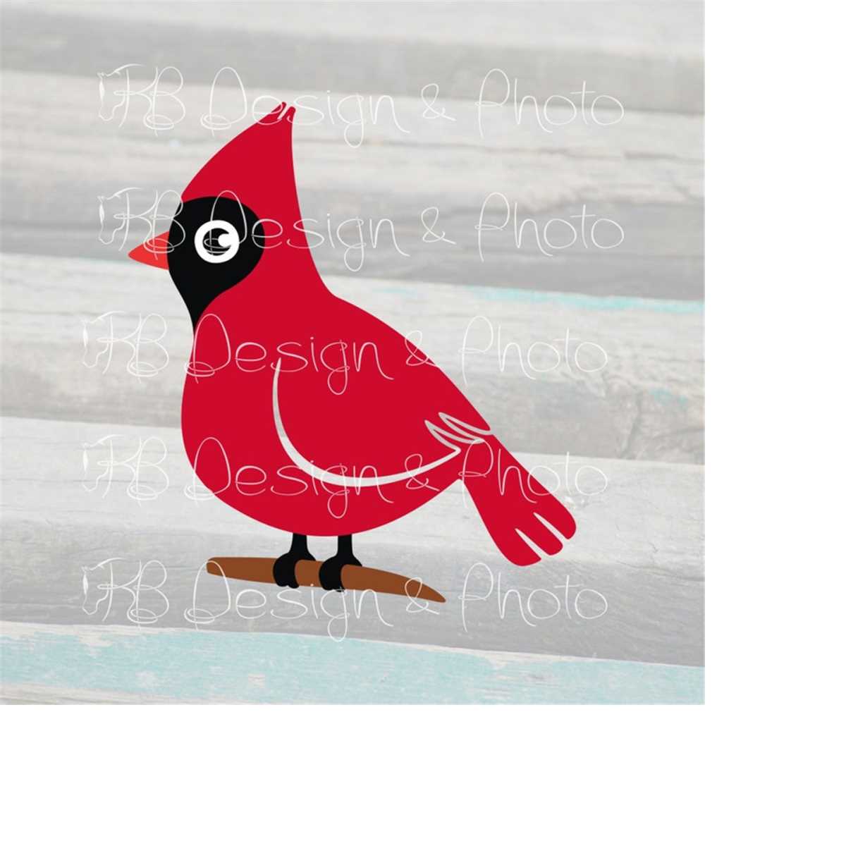 Cardinal bird Vector/Raster- SVG, PNG, JPG - Inspire Uplift