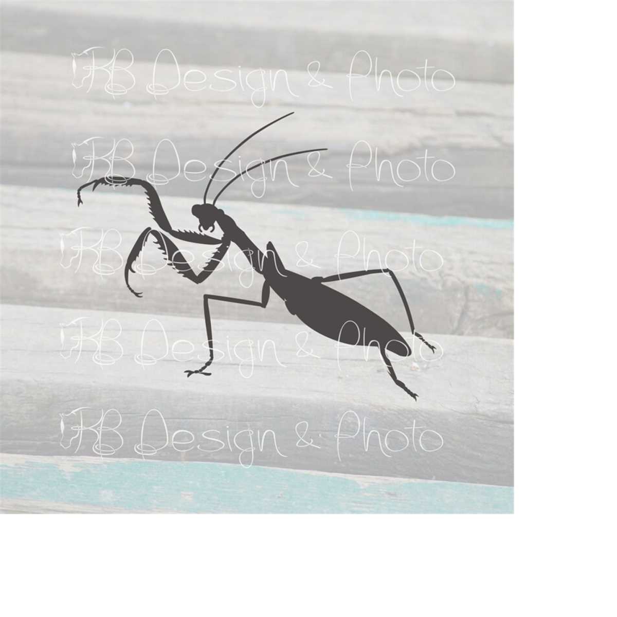 Praying Mantis Vector/Raster- SVG, PNG, JPG - Inspire Uplift