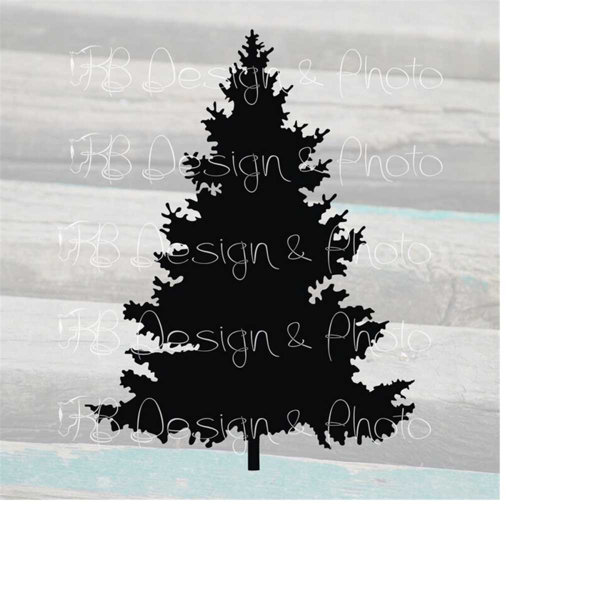 Evergreen Tree Vector/Raster- SVG, PNG, JPG | Inspire Uplift