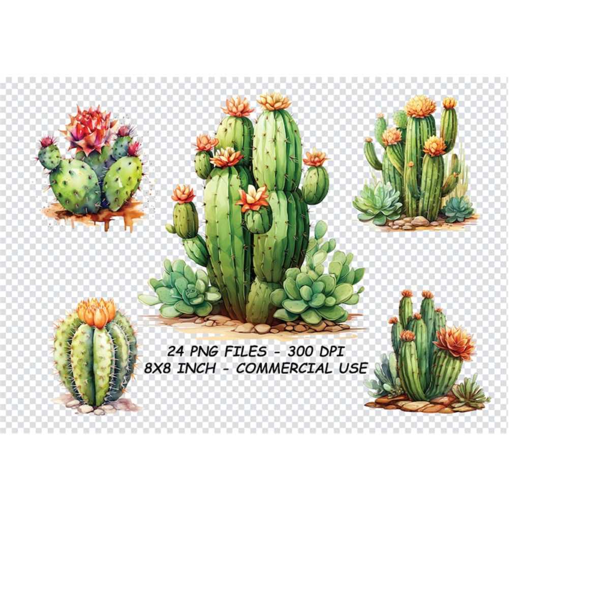 WATERCOLOR CACTUS CLIPART, Watercolor Cactus Clipart Png Fil | Inspire ...