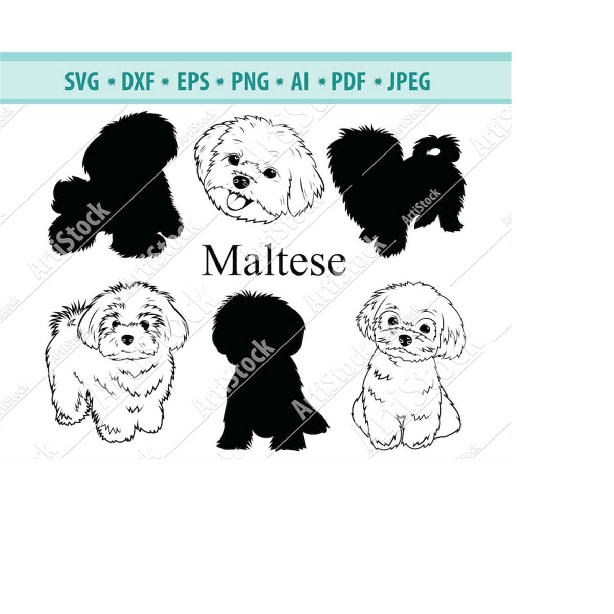 Maltese SVG, Maltese Silhouettes, Maltese, Dog Breeds SVG, D | Inspire ...