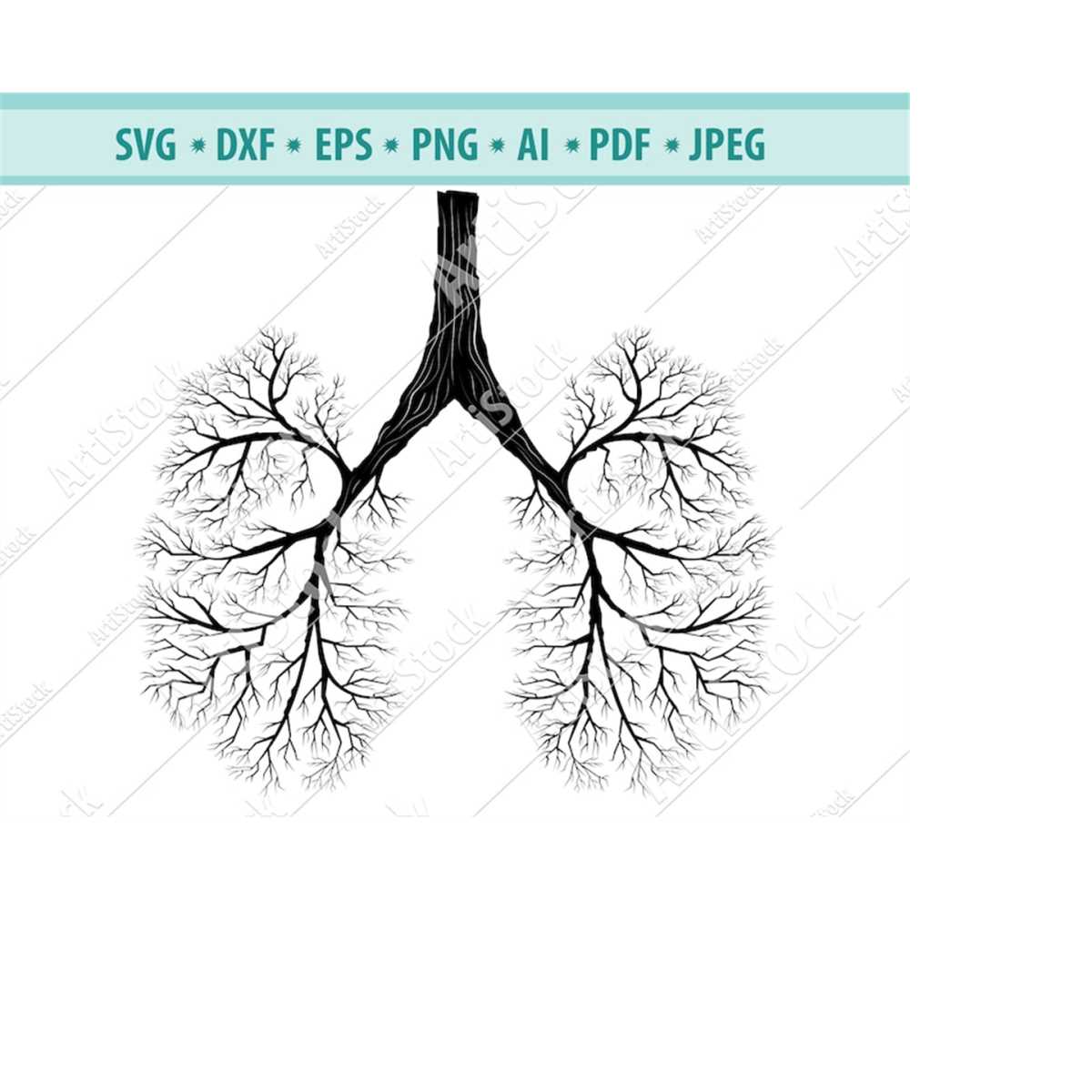 Human Lung svg, Lungs Svg Flowery, Human Lung Silhouette, Hu | Inspire ...