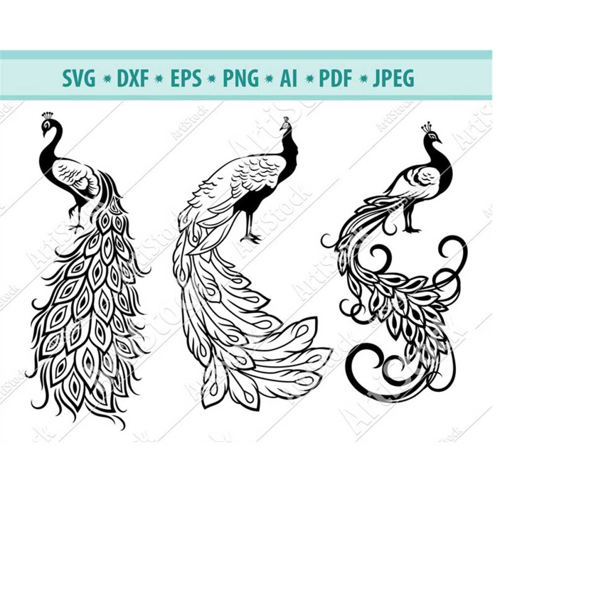 Peacock Svg File Beatiful Bird Svg Fancy Peacock Svg Peac Inspire