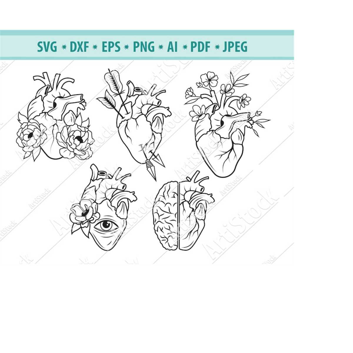 Heart Svg File, Anatomical heart svg, Human heart svg , Anat | Inspire ...