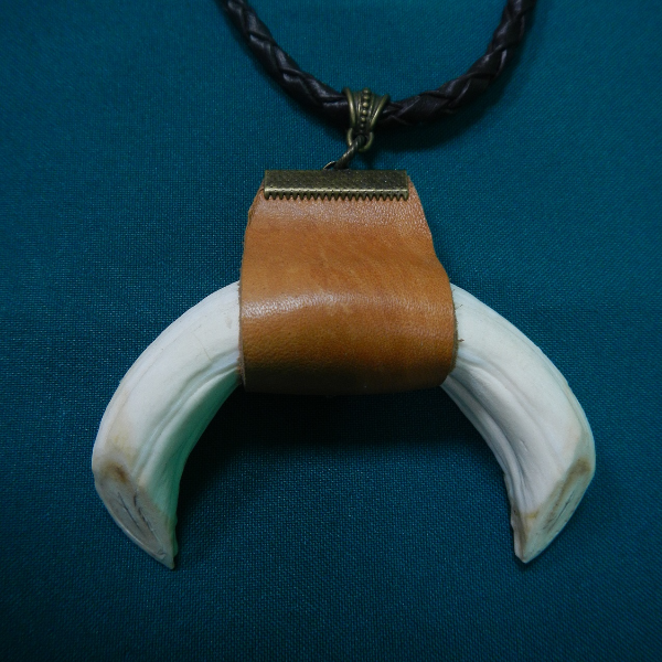 Necklace Natural boar tusks. from the upper jaw, small | Inspire Uplift