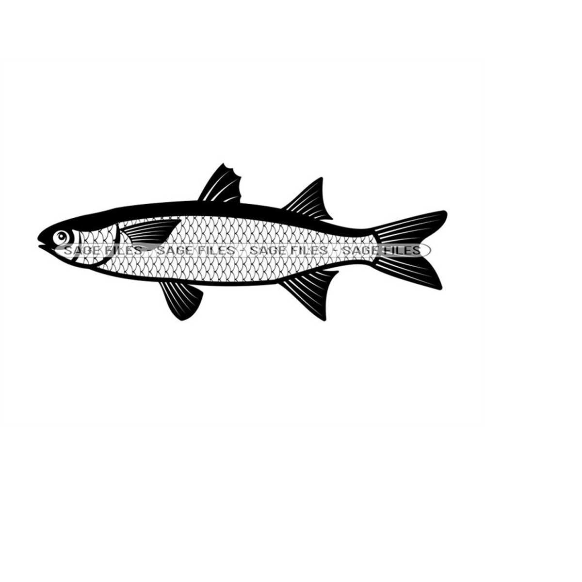 mullet fish svg - Inspire Uplift